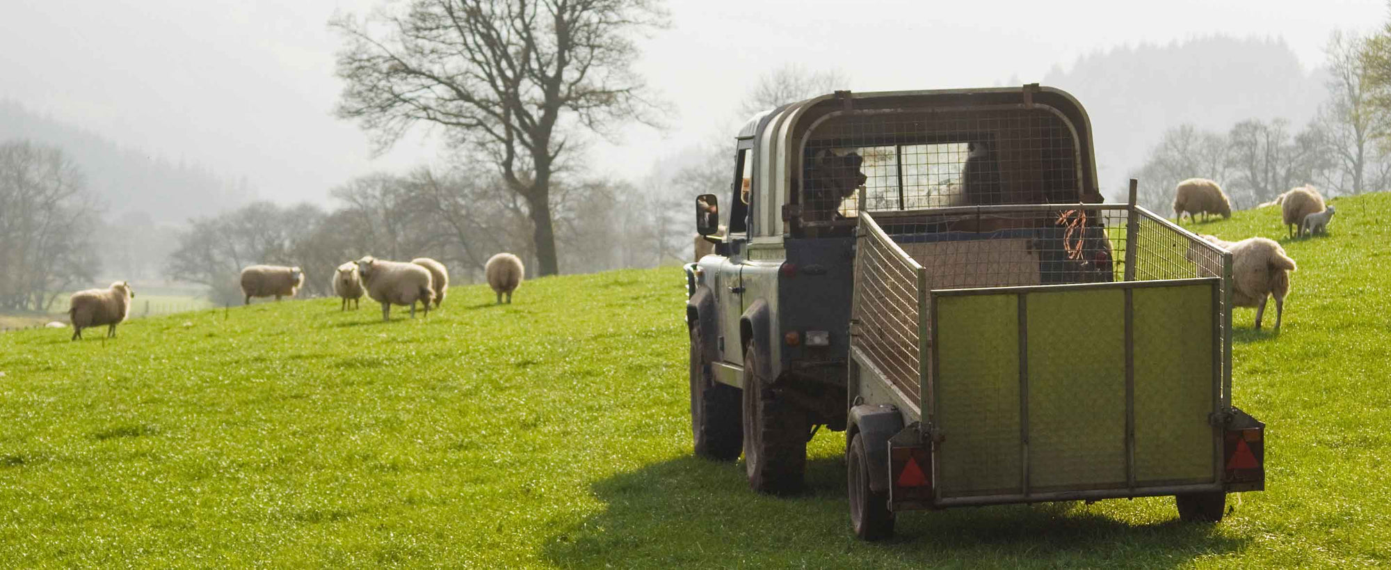 FECPAK Quick, easy FEC & Fluke testing for farmers, retailers & vets