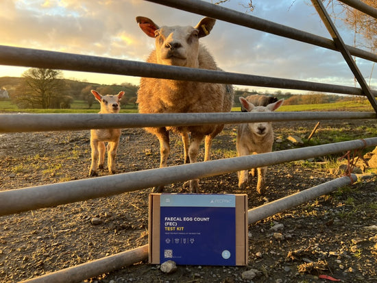 Faecal Egg Count (FEC) Testing Kit - FECPAKG2 www.fecpakshop.co.uk