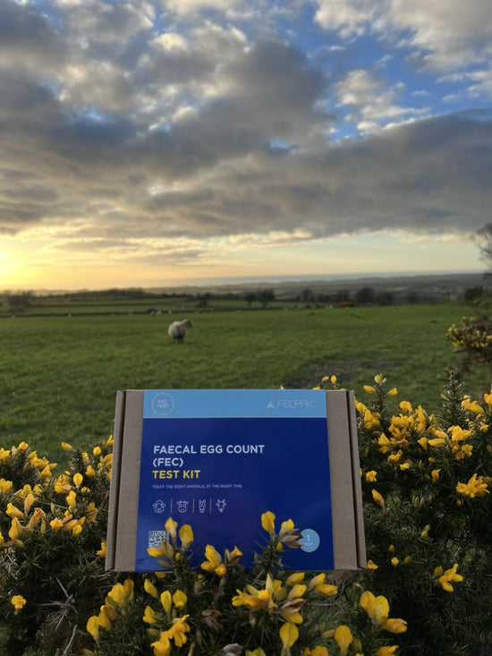 Faecal Egg Count (FEC) Testing Kit - FECPAKG2 www.fecpakshop.co.uk